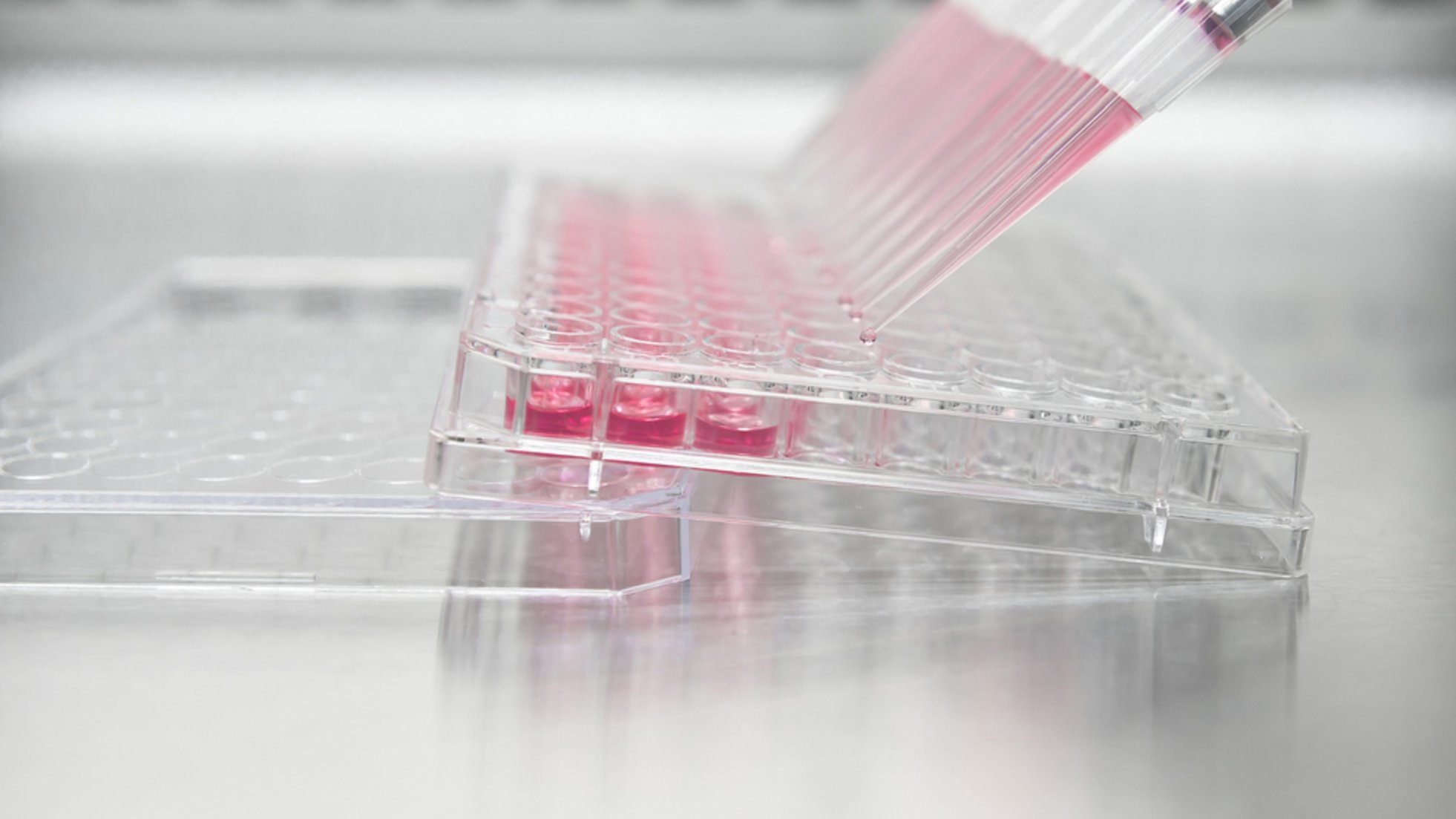 Labmed International